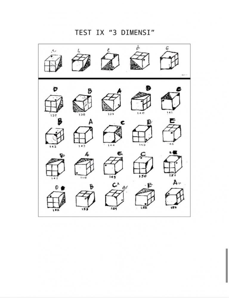 Intelligence Structure Test (IST) – Marhatahata